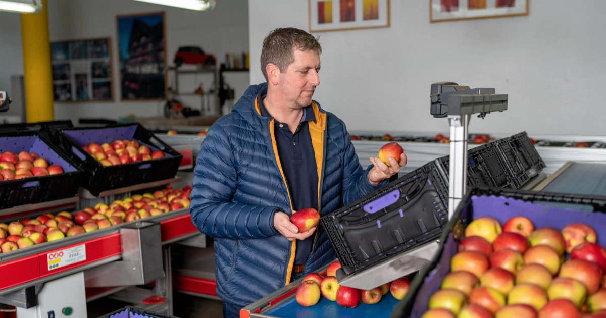 Nos produits d'assurance MRC et Grêle-Tempête - Suisse Grêle